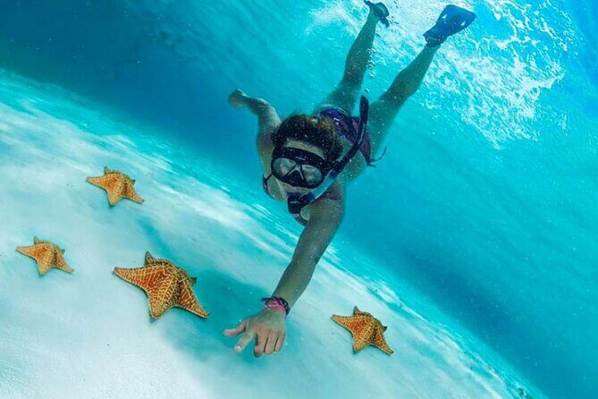 Cozumel Cielo Snorkel Adventure from Cancun and Rivera Maya - Key Points