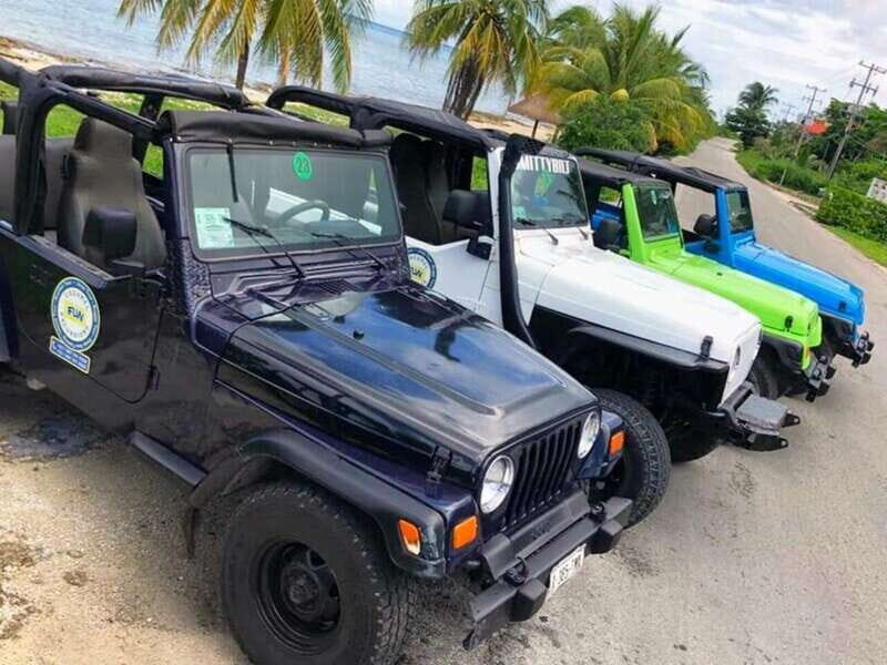 Cozumel: Classic Jeep or Buggy Island Tour to Punta Sur - What’s Included and Why It Matters