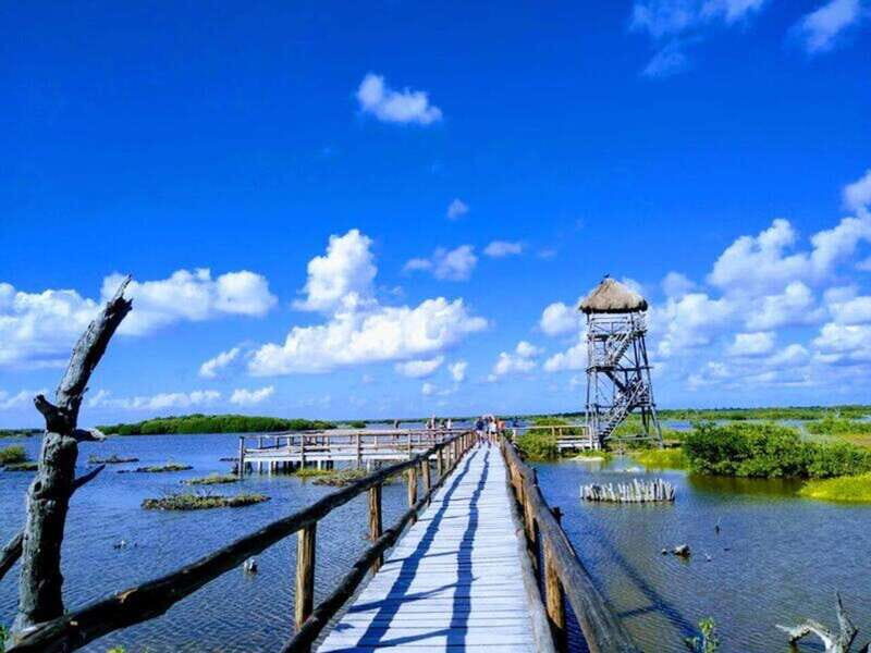 Cozumel: Classic Jeep or Buggy Island Tour to Punta Sur - Why This Tour Is Worth It