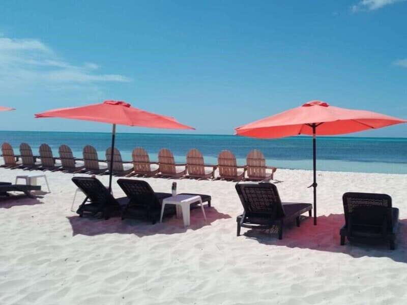 Cozumel: Classic Jeep or Buggy Island Tour to Punta Sur - FAQ