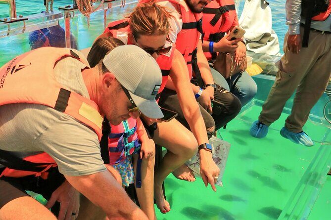 Cozumel Clear Boat Tour! Round Transportation From Cancun & Playa Del Carmen - Frequently Asked Questions (FAQs)