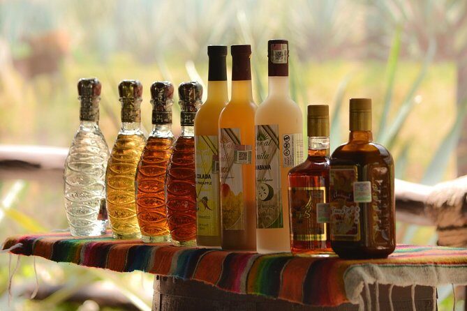 Cozumel Cultural Jeep Tour with Mayan Village and Mexican Lunch - Final Thoughts