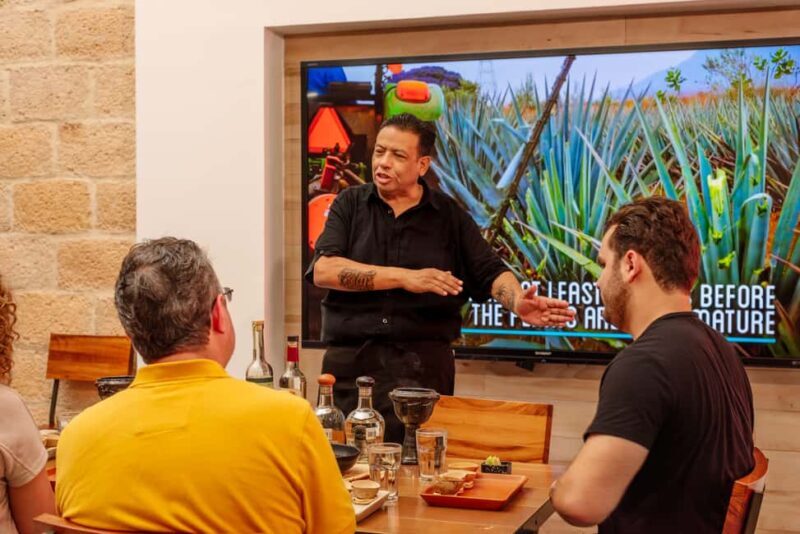 Cozumel: Degustación Maya Mezcal and Tequila - Introduction: Why This Tasting Is Worth Considering