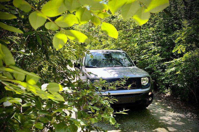 Cozumel: Discover Hidden Gems w/ Private guide - Exploring Cozumel’s Hidden Corners