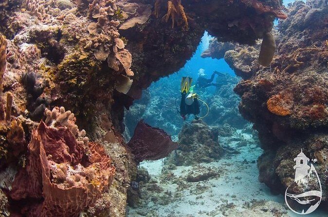 Cozumel: Discover Scuba Diving - Detailed Breakdown of the Experience