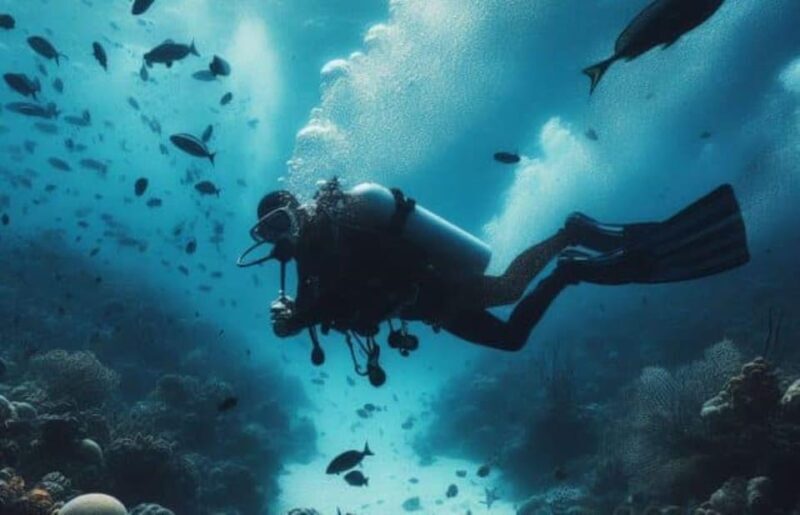 Cozumel: Discovery Scuba Diving. No experience required. - Who Will Love This Tour?
