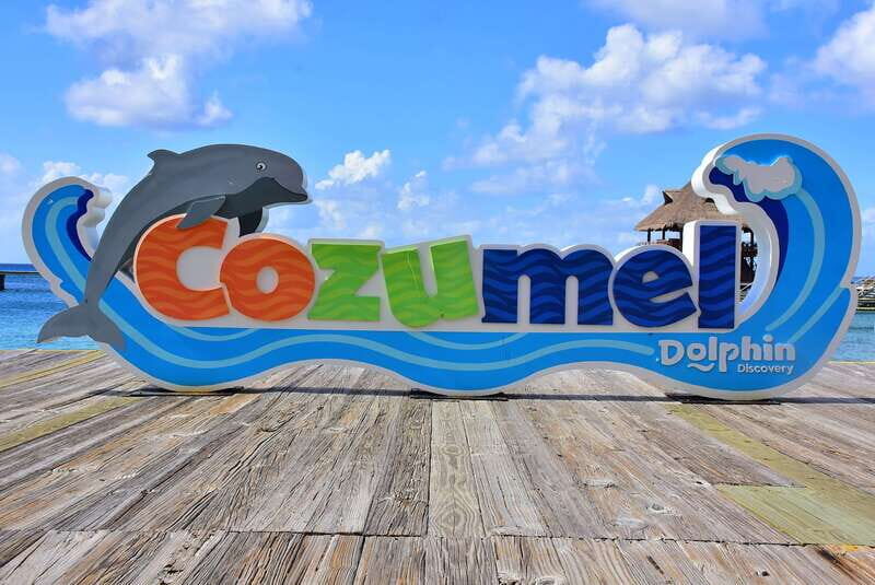 Cozumel: Dolphin Royal Swim and Manatee Interaction - An In-Depth Look at the Experience