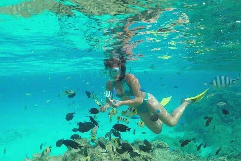 Cozumel El Cielo Sandbar and Reef Snorkeling Tour - Final Thoughts