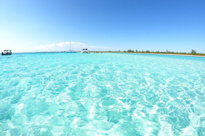 Cozumel El Cielo Snorkeling Tour - What to Expect from the Cozumel El Cielo Snorkeling Tour