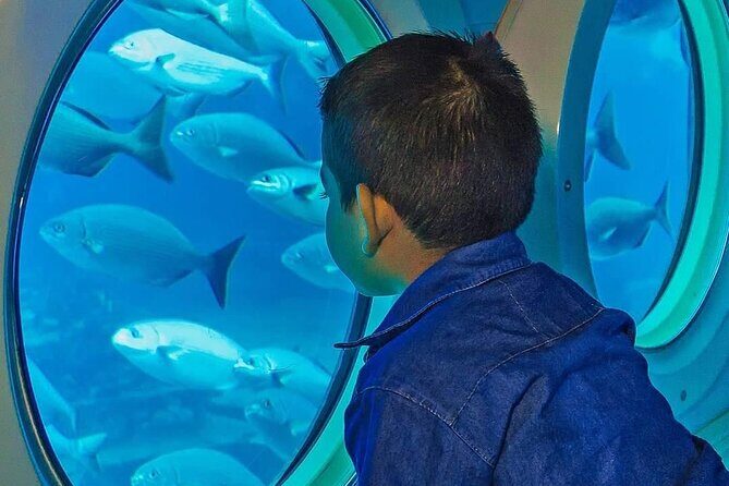 Cozumel EN Submarine Tour from Cancun or Playa del Carmen - Free Time to Explore Cozumel