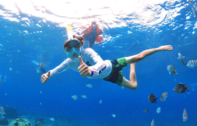 Cozumel: Excursion Crystal Boat Tour with Snorkel & Drinks