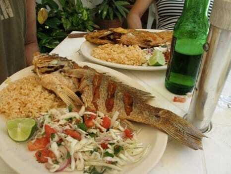 Cozumel Food Tour - An In-Depth Look at the Cozumel Food Tour Experience