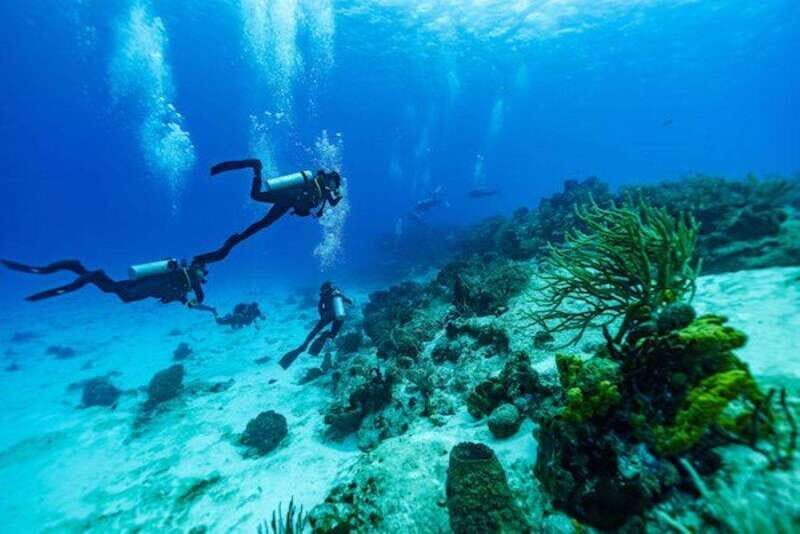 Cozumel: Fun Dive Adventure for Certificates - Key Points