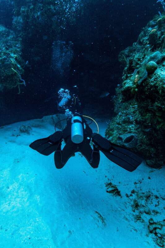 Cozumel: Fun Dive Adventure for Certificates - What To Bring & What to Know