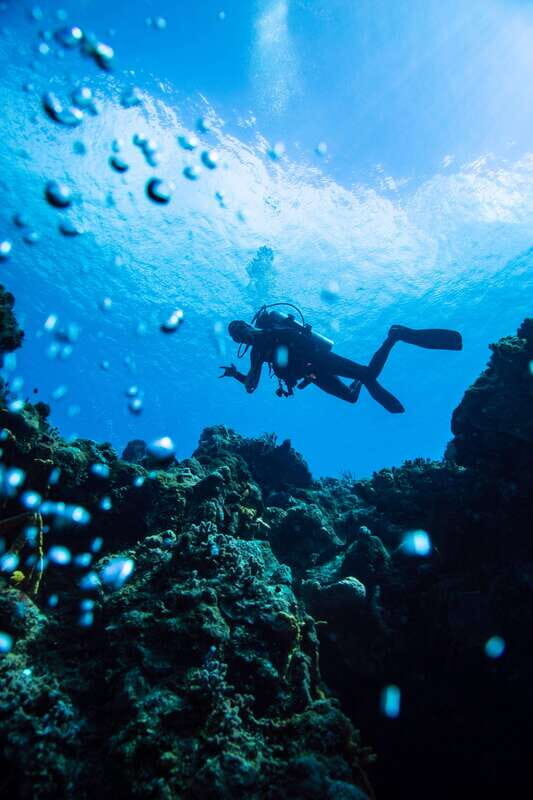 Cozumel: Fun Dive Adventure for Certificates - The Value You Get