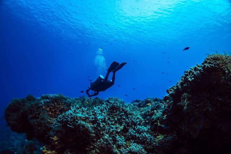 Cozumel: Fun Dive Adventure for Certificates - Final Thoughts