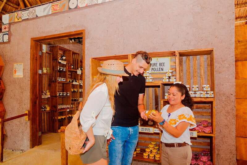 Cozumel: General Entrance to Mayan Bee Sanctuary - The Environment and Accessibility