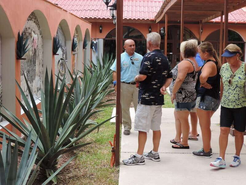 Cozumel: Historical Driving Tour by VW Buggy with Snorkeling - Is This Tour Worth the Price?