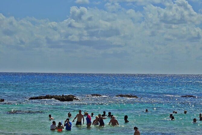Cozumel Island Buggy & Visit San Martin Beach from Cancun & Playa del Carmen - Transportation and Practicalities