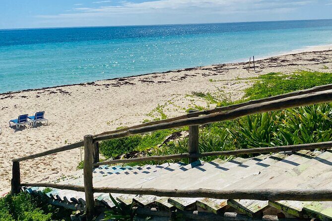 Cozumel Jeep Adventure Cenote Jade & Mayan Experience OTOCH - Authentic Experiences & Practical Insights