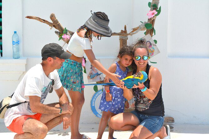 Cozumel Jeep Adventure Cenote Jade & Mayan Experience OTOCH - Who Will Love This Tour?