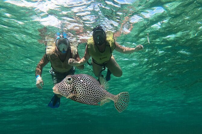 Cozumel Jeep Escape: Punta Sur Park, Jade Cavern & Snorkel - Key Points