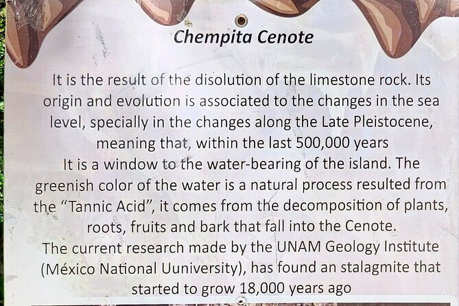 Cozumel Jungle ATV Tour Adventure and Caverns with transfer - An Overview of the Experience