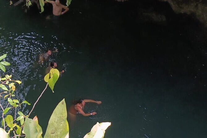 Cozumel Jungle ATV Tour Adventure and Caverns with transfer - Authentic Experience Insights from Reviewers