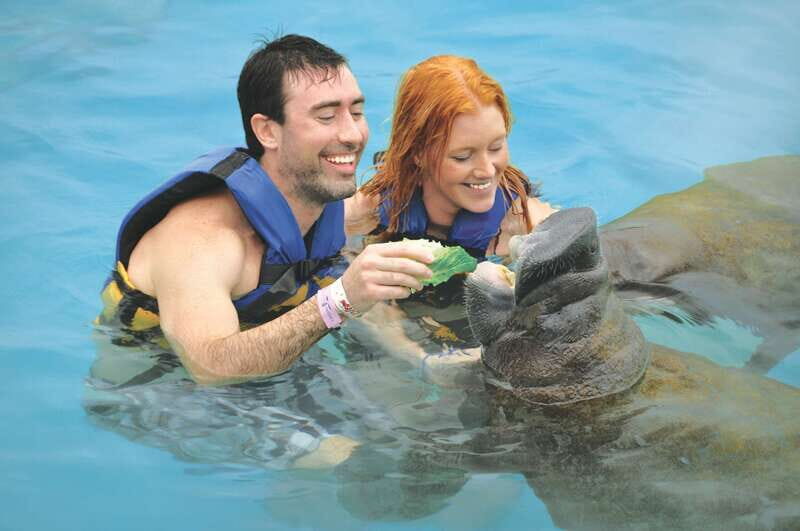 Cozumel: Manatee Encounter, Chankanaab Admission and Buffet - What to Expect from This Cozumel Experience