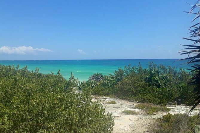 Cozumel: Mayan Jeep Tour Private Lunch Snorkeling Tour - Frequently Asked Questions