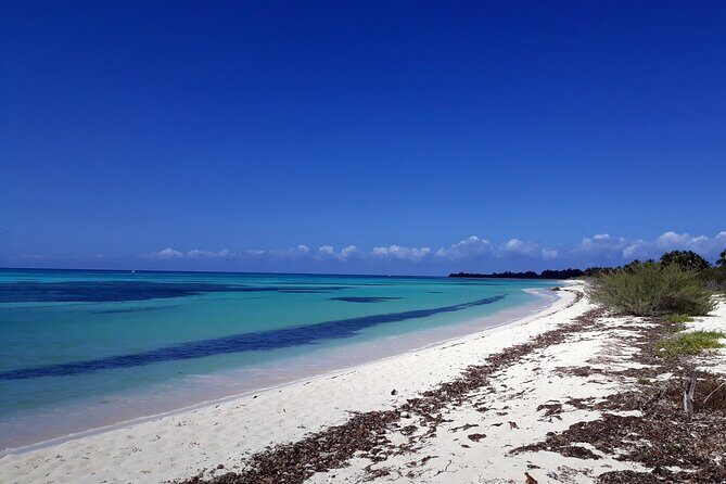 Cozumel National Park and Beach Break: Private Tour - The Value Proposition: Why This Tour Stands Out