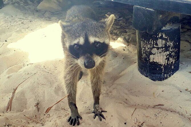 Cozumel National Park and Beach Break: Private Tour - The Sum Up