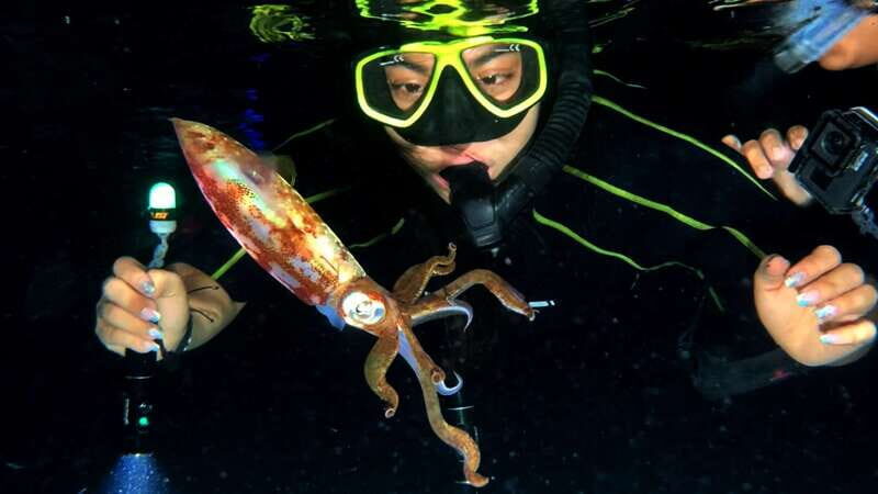 Cozumel: Night Snorkel Adventure - Deep Dive into the Itinerary