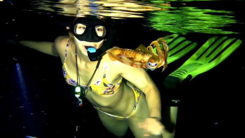Cozumel: Night Snorkel Adventure - Who Is This Tour Best For?