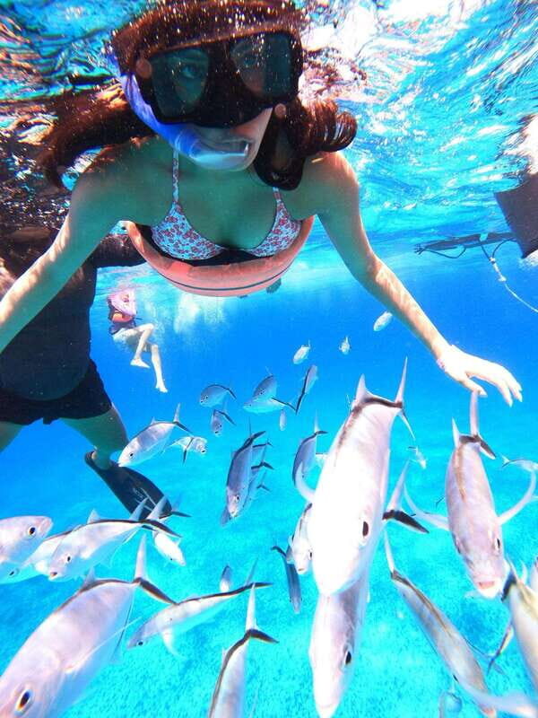 Cozumel: Palancar, Columbia and Cielo Reefs Snorkeling Tour - FAQ