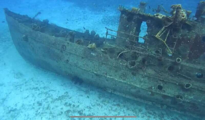 Cozumel, Passion Island: 4-Hour Private Tour - Who Will Love This Tour?