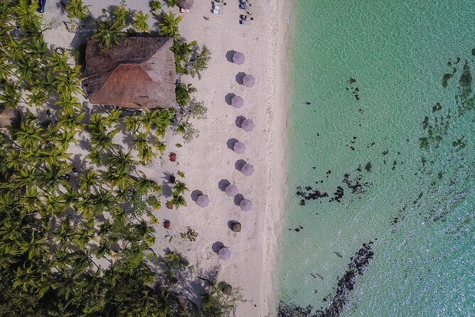 Cozumel Playa Palancar VIP All Inclusive Day Pass - Overview of the Experience