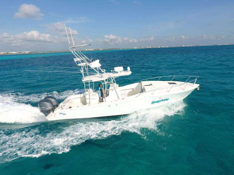 Cozumel: Premium Experience Aboard your Private Boat - Who Would Love This Tour?
