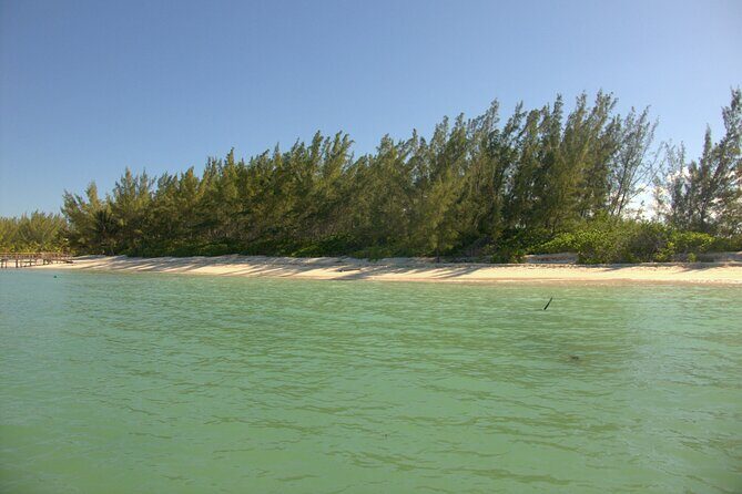 Cozumel Private 4-Hour Boat Tour to Passion Island - Who Will Love This Tour?