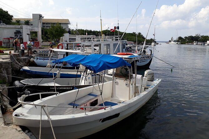 Cozumel Private 4-Hour Boat Tour to Passion Island - Conclusions