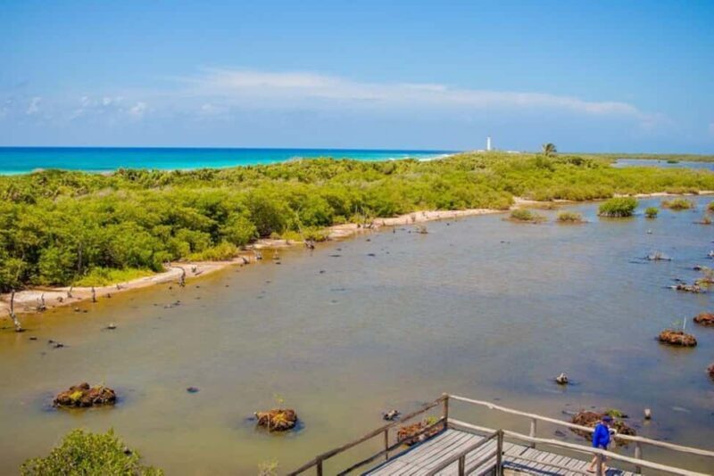 Cozumel: Private Buggy Tour to Punta Sur Park All Inclusive - An In-Depth Look at the Cozumel Private Buggy Tour