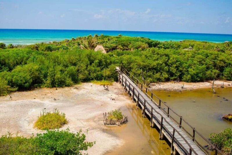 Cozumel: Private Buggy Tour to Punta Sur Park All Inclusive - FAQs