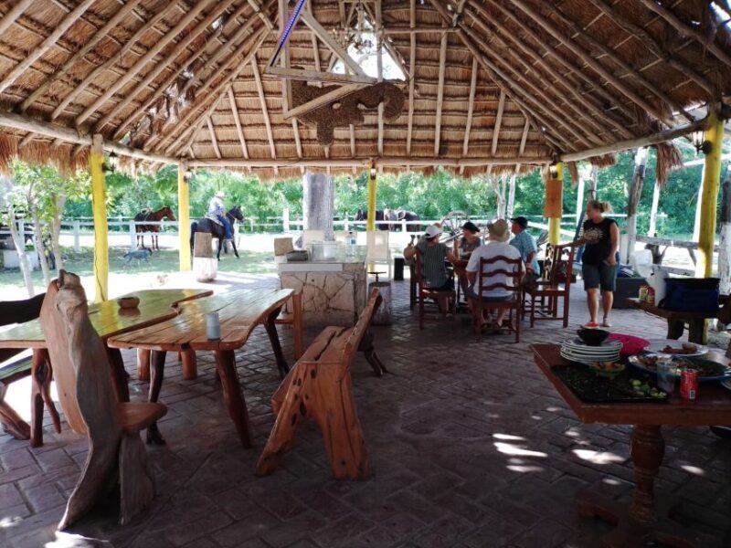 Cozumel: Private Caves and Ruins Tour with Lunch 5 Hours - Final Thoughts: Is It Worth It?  