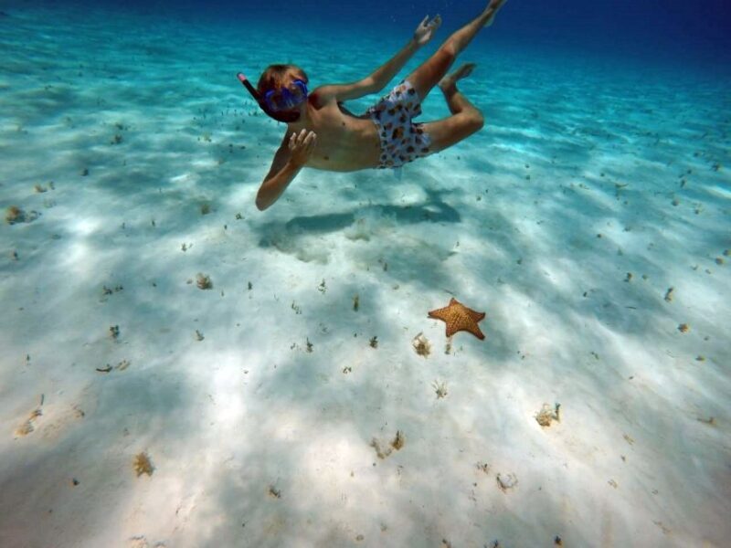 Cozumel: Private Charter Boat and Snorkel Day Trip - FAQs