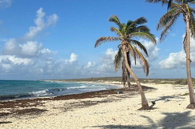 Cozumel Private Island Tour - Starting Point and Logistics
