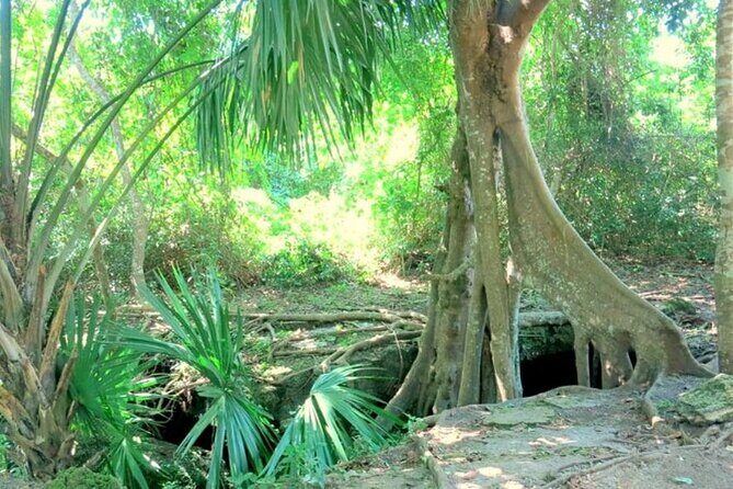 Cozumel: Private Jeep Tour, Mayan Ruins, Snorkeling & Lunch - Who Is This Tour Best For?