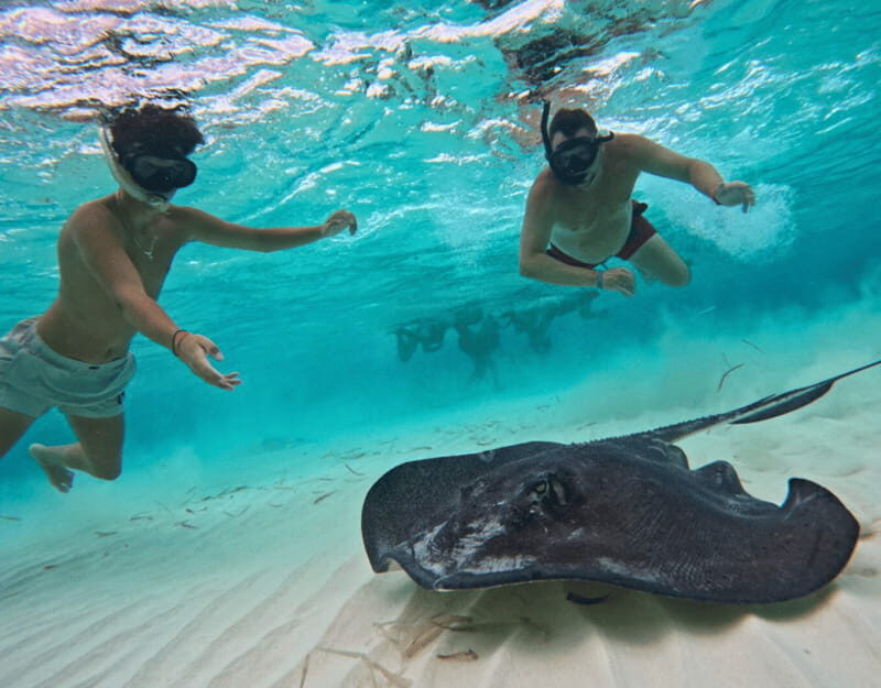 Cozumel: Private Snorkel Tour El Cielo + 3 Reefs Food Drinks - Who Will Love This Tour?