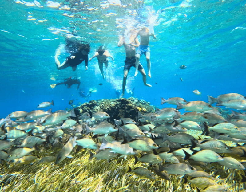 Cozumel: Private Snorkel Tour El Cielo + 3 Reefs Food Drinks - Final Thoughts: Is It Worth It?
