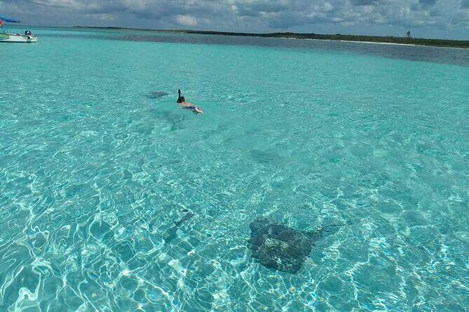 Cozumel Private Snorkeling, Fishing & El Cielo Charter - The Sum Up