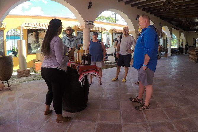 Cozumel Private Van Service with Snorkel Tour - What Travelers Can Expect